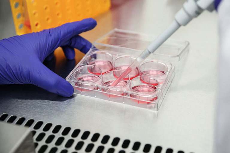 AskPath Genetic Research Collaborations | AskBio