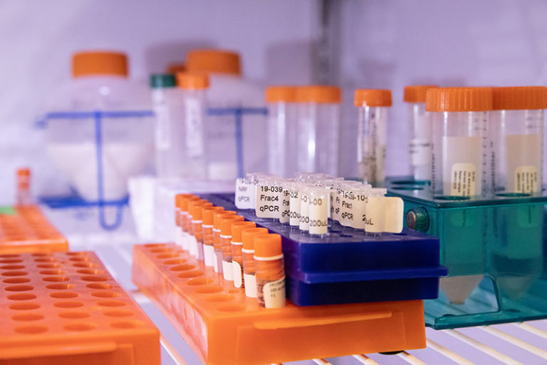 AAV Gene Therapy Clinical Pipeline | AskBio