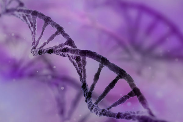 AAV Vectors for Gene Therapy | AskBio AAV Technology Platform