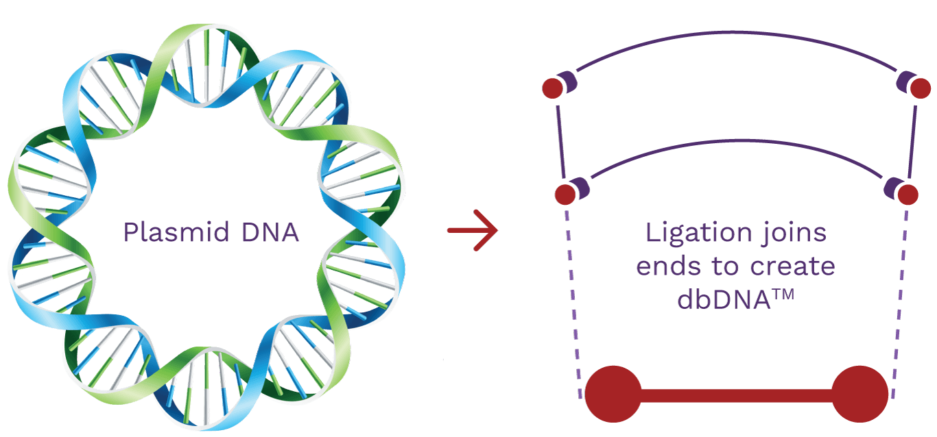GMP Manufacturing for AAV Therapeutics | AskBio