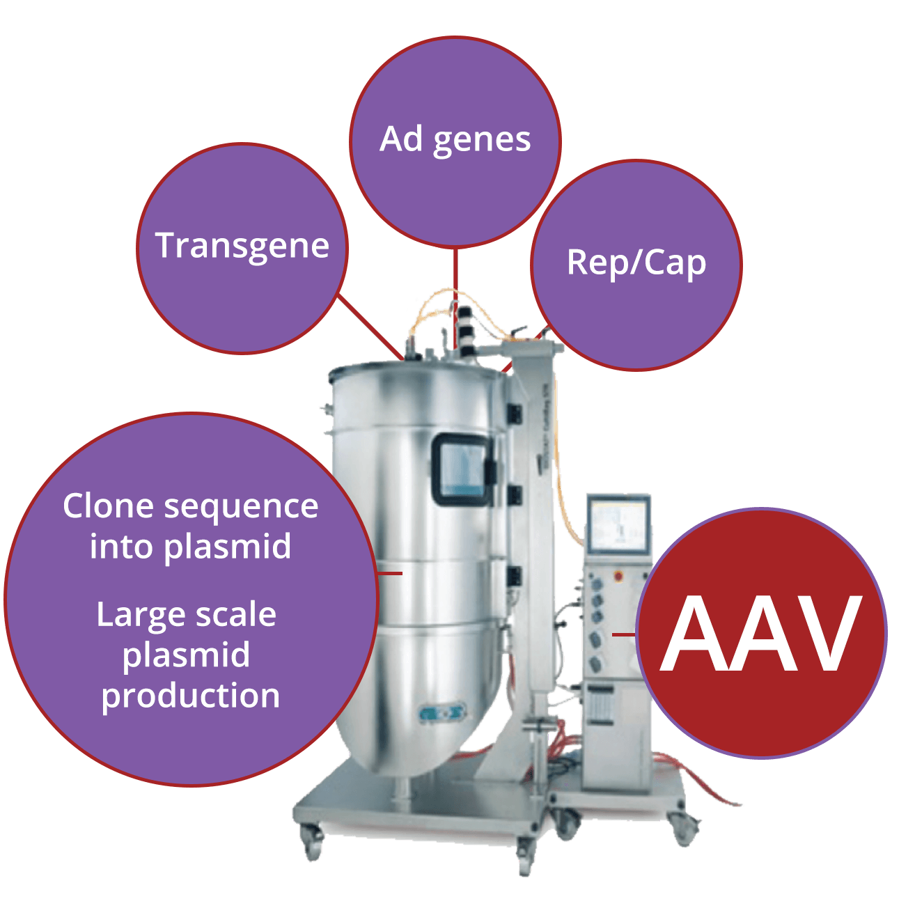 GMP Manufacturing for AAV Therapeutics | AskBio