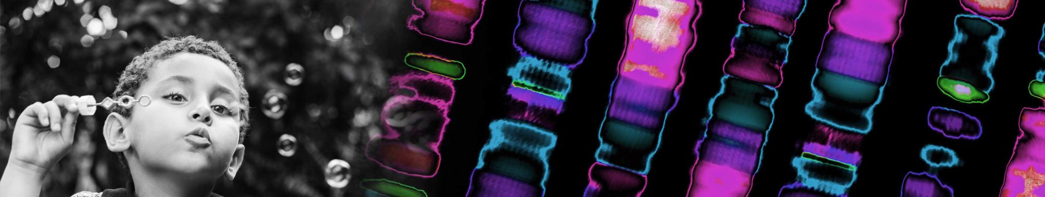 Pioneers in Gene Therapy - Leadership Team | AskBio