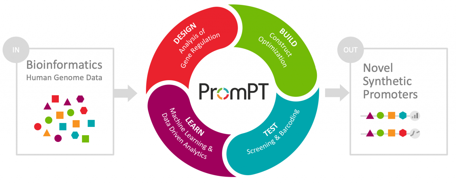 Synpromics Synthetic Promoters for Gene Control | AskBio