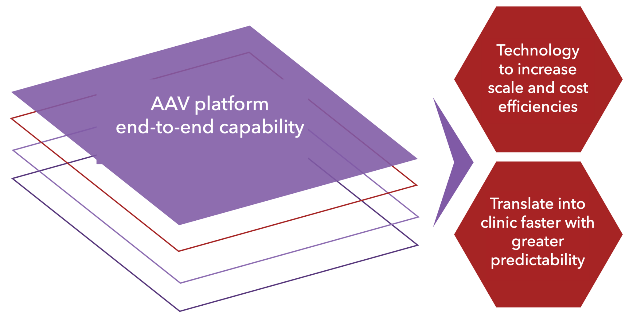 AAV Vectors for Gene Therapy | AskBio AAV Technology Platform