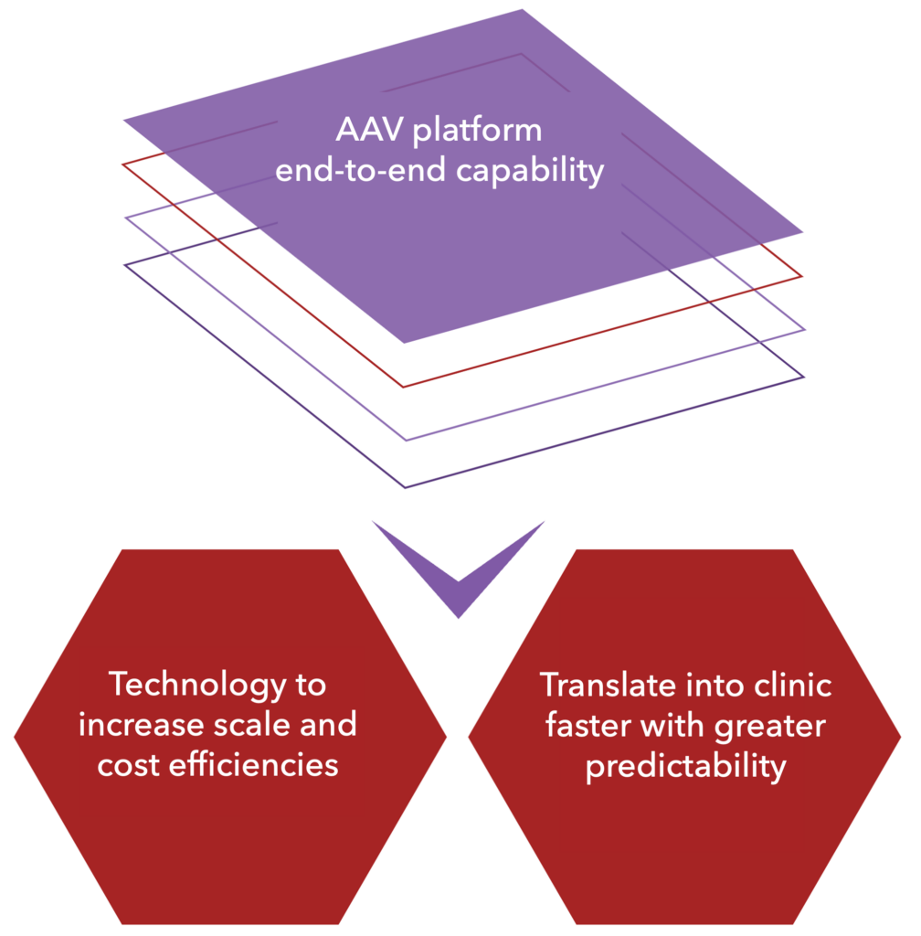 AAV Vectors for Gene Therapy | AskBio AAV Technology Platform