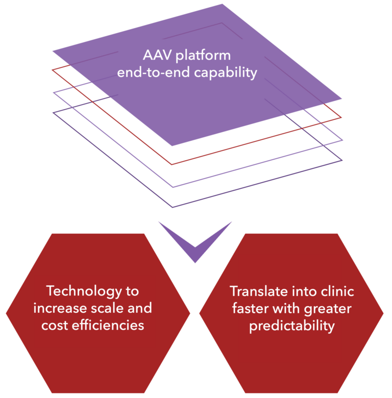 AAV Vectors for Gene Therapy | AskBio AAV Technology Platform