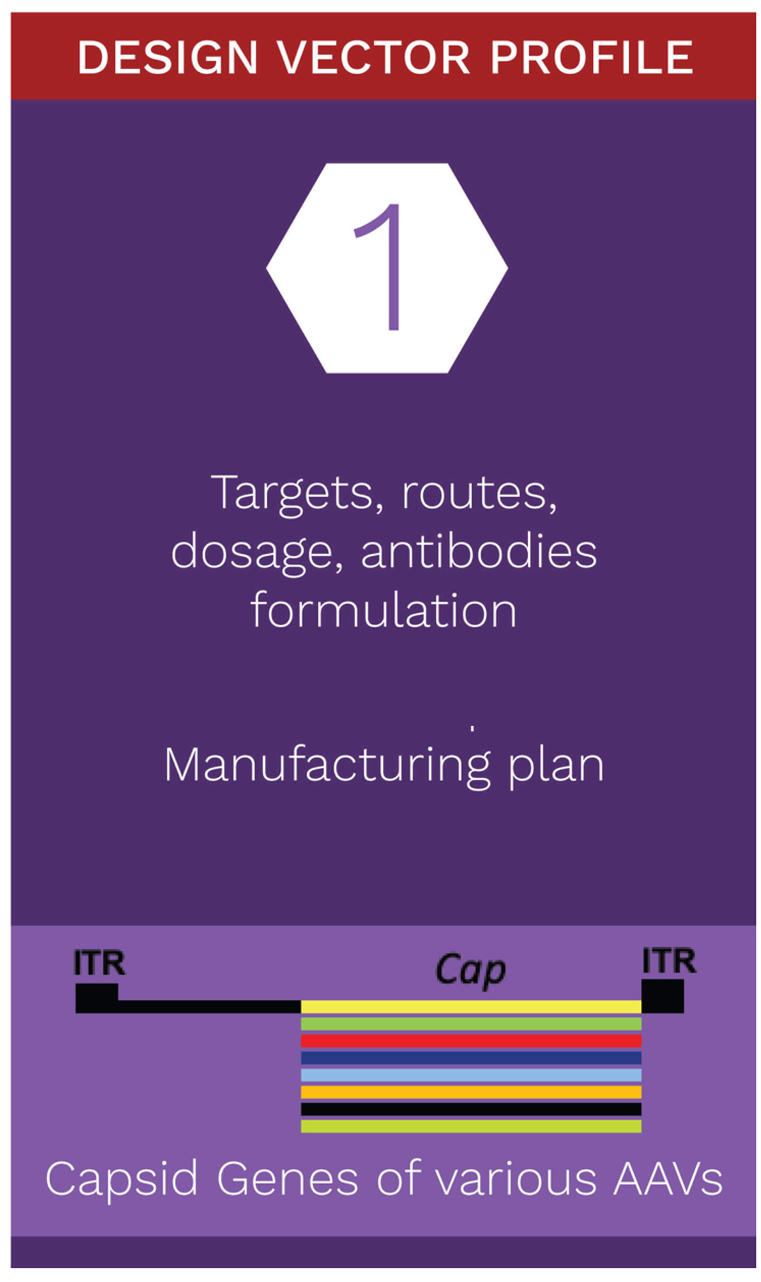 Chimeric AAV Capsid Development for Gene Therapy | AskBio