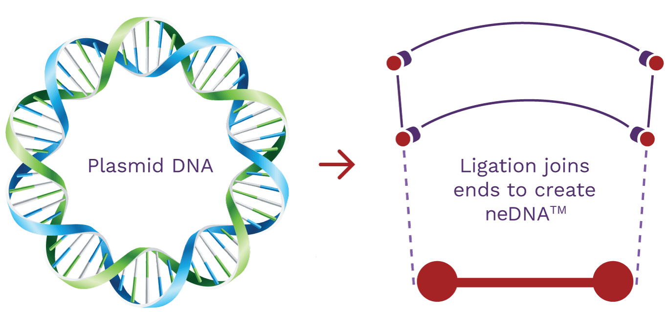 GMP Manufacturing for AAV Therapeutics | AskBio