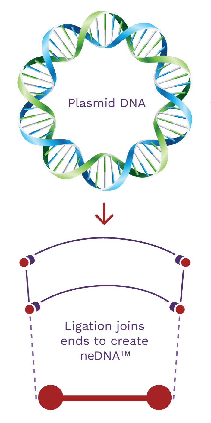 GMP Manufacturing for AAV Therapeutics | AskBio